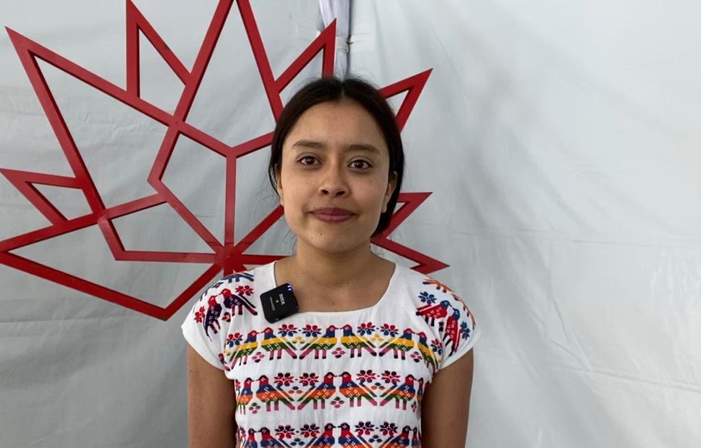 Internship program for young indigenous professionals - Canada in Mexico Internship program for young indigenous professionals - Canada in Mexico
